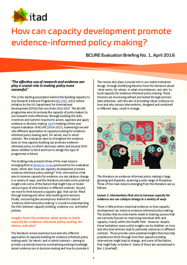 How can capacity development promote evidence-informed policy making ...