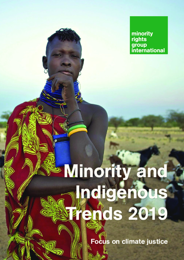 Minority and indigenous trends 2019 | ALNAP
