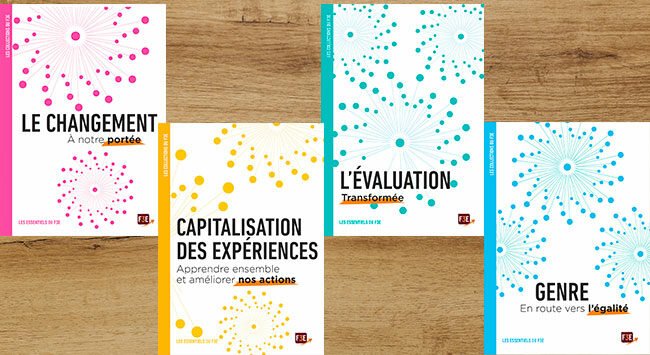 Les Essentiels du F3E | ALNAP