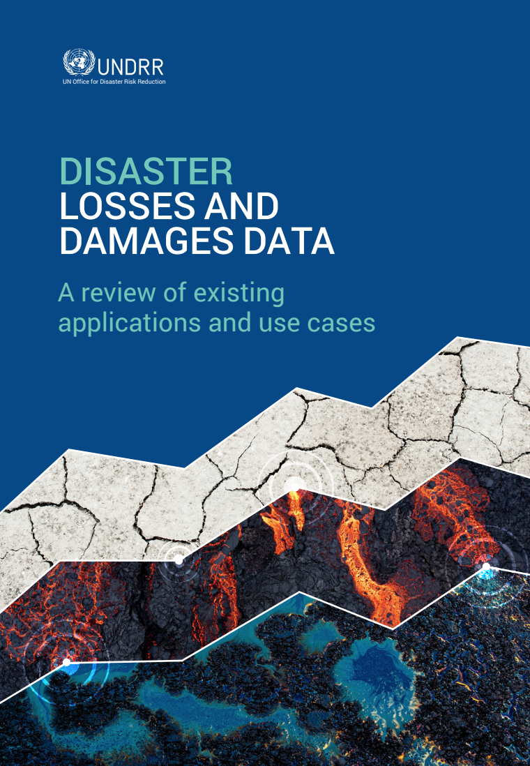 Disaster losses and damages data: A review of existing applications and ...