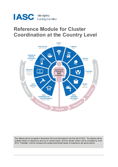 Reference Module for Cluster Coordination at the Country Level | ALNAP