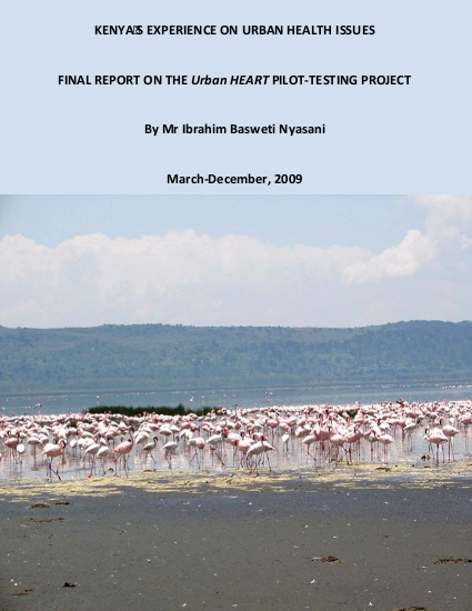 Kenya's Experience on Urban Health Issues - Final Report on the Urban ...