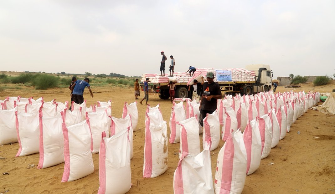 Global Humanitarian Assistance (GHA) report 2025 | ALNAP