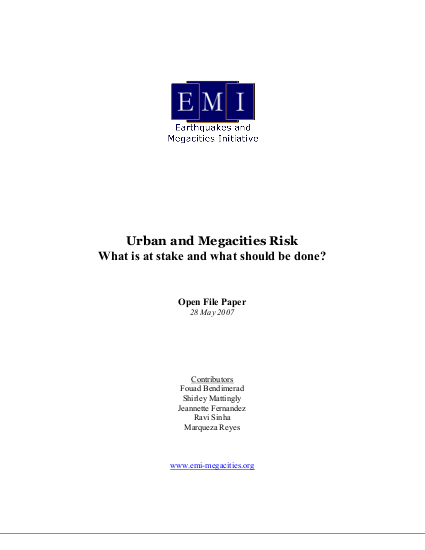 Urban and Megacities Risk: What is at Stake and What Should Be Done ...